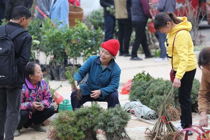 3-Day Tour in Jinping to visit the countryside fair near Guilin - Transportation, Timing, and Group Size