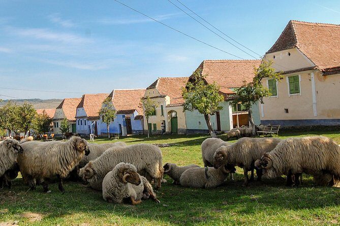 3 day Tour: Medieval Transylvania with Half Board - Who Will Love This Tour?