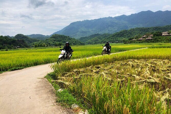 3 Day Tour Pu Luong Jungle Ride Motorbike From Hanoi - A Detailed Look at the Pu Luong Jungle Ride Experience