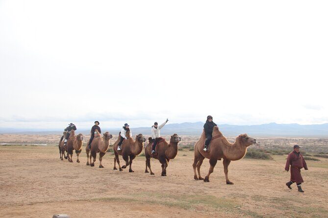 3 Day Tour to Kharkhorin and Mini Gobi with Camel and Horse Ride - Authenticity and Value