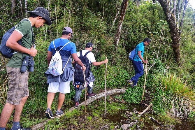 3-Day tour to Vedda Village & Two National Parks - Introduction