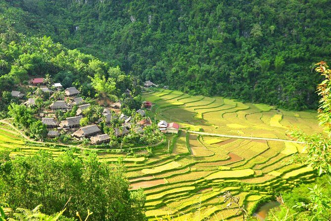 3-Day Trekking In Pu Luong Nature Reserve Private Tour - An In-Depth Look at the Pu Luong Trekking Tour