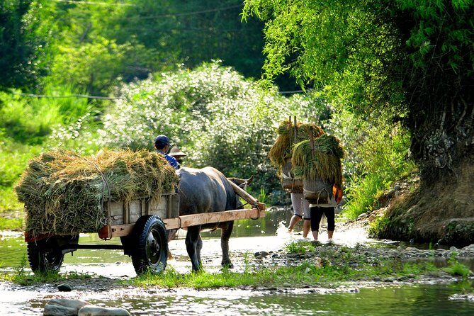 3-Day Trekking In Pu Luong Nature Reserve Private Tour - Final Thoughts: Who Will Love This Tour?