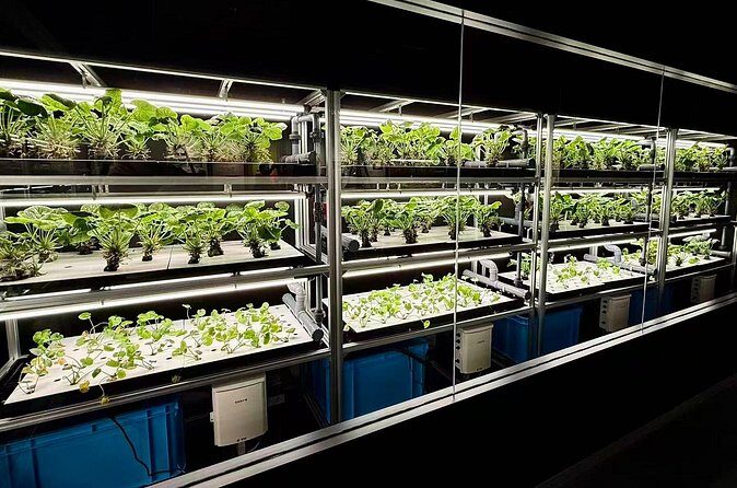 3-day trip from Osaka to Shirakawa-go - FAQ