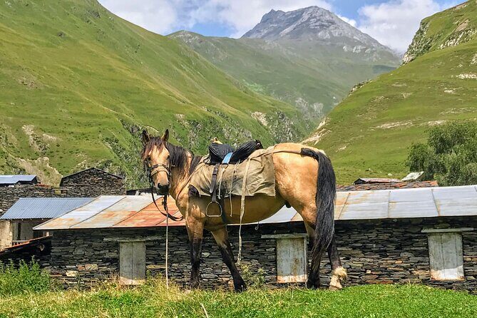 3 Day Tusheti Tour Explore Unspoiled Wilderness - Final Note