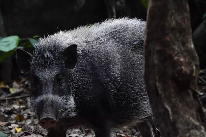 3-Day Ujung Kulon National Park Private Guided Tour - Who Will Love This Tour?