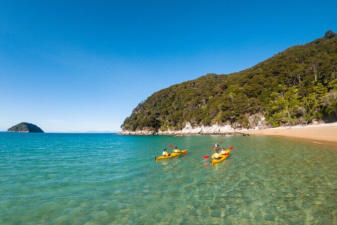 3 Day Unguided Kayaking starting in the Abel Tasman National Park New Zealand - What Reviews Tell Us