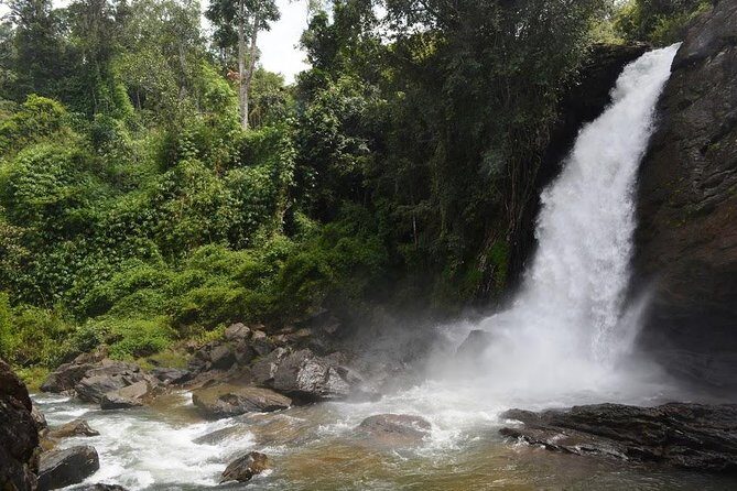 3-Day Wayanad Tour from Bangalore - Final Thoughts