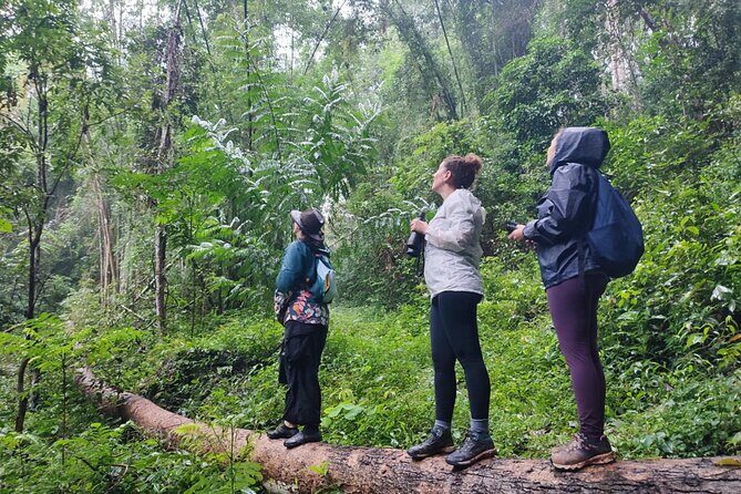 3 Day Wild Gibbon Adventure with Karen Community Homestay - The Sum Up