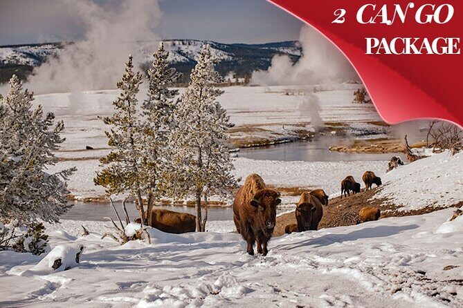 3 Day Yellowstone, Grand Teton Winter Discovery Small Group Tour - Exploring the 3 Day Yellowstone, Grand Teton Winter Discovery Small Group Tour