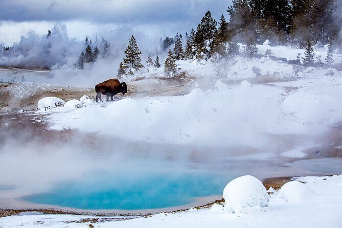 3 Day Yellowstone, Grand Teton Winter Discovery Small Group Tour - An In-Depth Look at the Itinerary