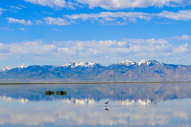 3 Day Yellowstone, Grand Teton Winter Discovery Small Group Tour - Final Thoughts