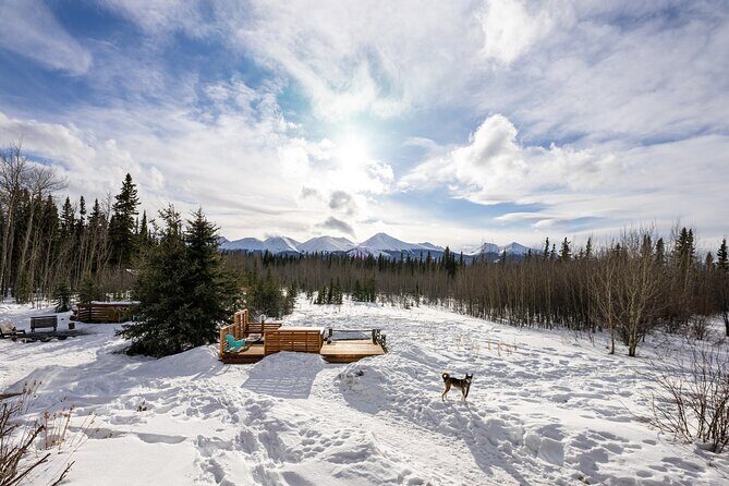 3-day Yukon Northern Lights Adventure - What to Expect from the Itinerary