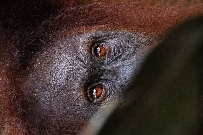 3 Days 2 Nights Ethical Jungle Trekking - What’s Included and What’s Not