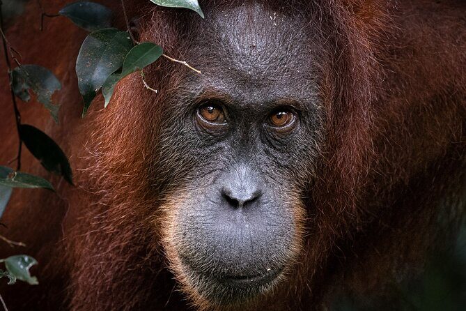 3 Days 2 Nights Ethical Jungle Trekking - FAQ