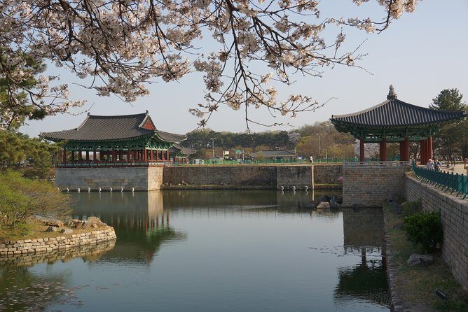 3-Days 2-Nights Gyeongju UNESCO Sites & Busan City [Private Tour from Seoul] - The Experience and Logistics: What You Can Expect