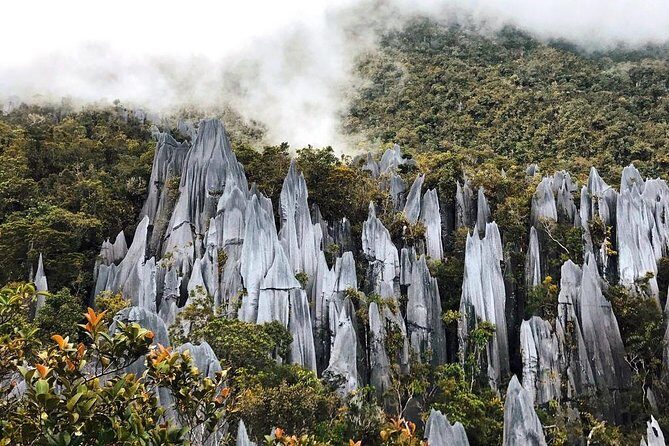 3 Days 2 Nights Unesco World Heritage Mulu 4 Showcaves - The Itinerary in Detail: What to Expect