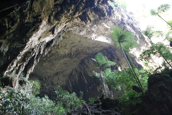 3 Days 2 Nights Unesco World Heritage Mulu 4 Showcaves - Frequently Asked Questions