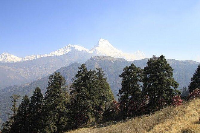 3 Days Amazing Ghandruk Trek From Pokhara Nepal - Why This Trek Is Worth Considering