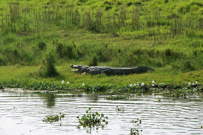 3 Days and 2 Nights Chitwan National Park Safari Tour in Pokhara - An Introduction to the Tour
