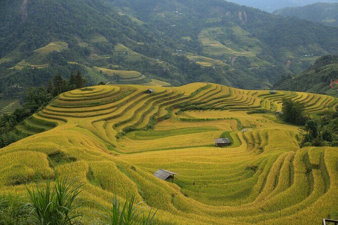 3 Days and 2 Nights Ha Giang Tour - In-Depth Look at the Itinerary