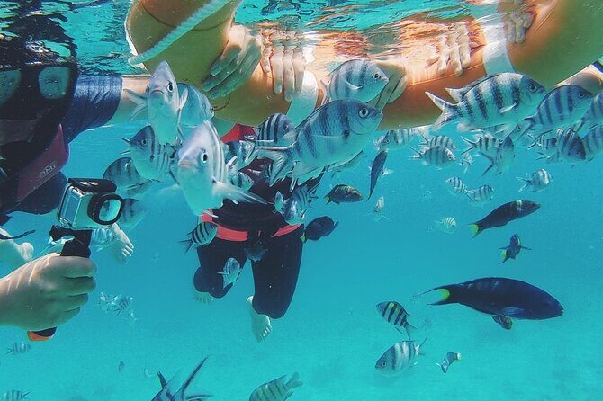 3 Days and 2 Nights Tioman Tour Package from Singapore - Dining and Food Options