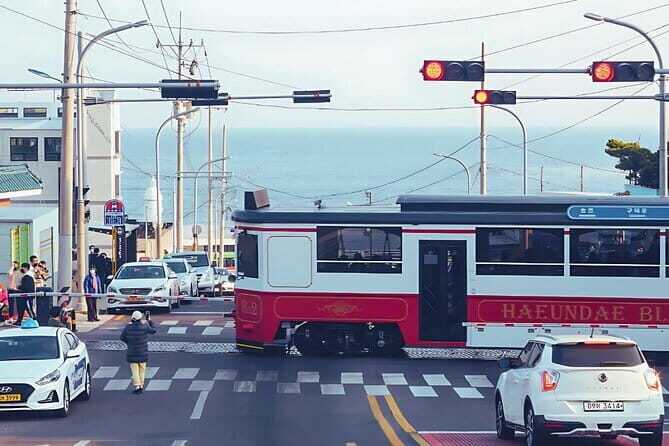 3 Days Busan and Gyeongju Private Tour - Is It Worth the Price?