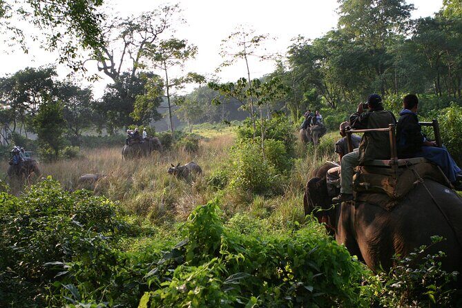 3 Days Chitwan Jungle Safari - FAQ