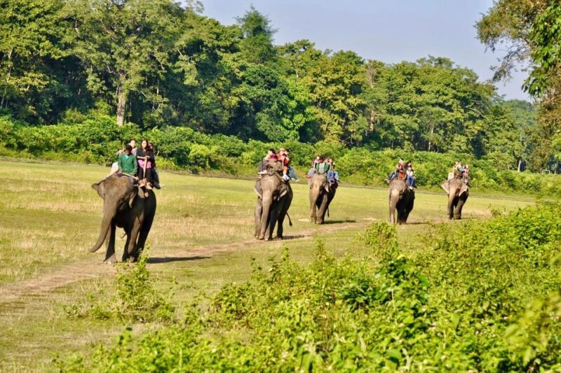 3 Days Chitwan Jungle Tour with Meals - Kathmandu & Pokhara - Practical Tips for Travelers