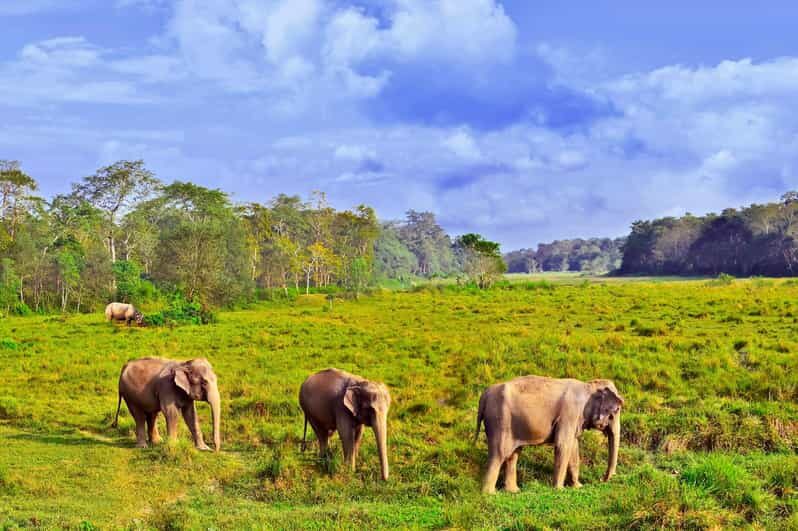 3 Days Chitwan Jungle Tour with Meals - Kathmandu & Pokhara - Who Should Consider This Tour?