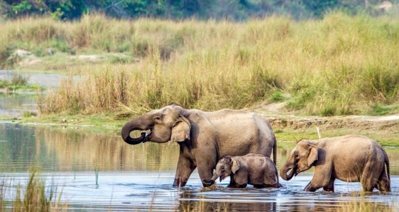3 Days Chitwan Jungle Tour with Meals - Kathmandu & Pokhara - The Sum Up: Is It Worth It?