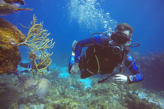 3 Days Class: SDI Open Water Diver Certification in Cancun - The Sum Up: Who Should Book This Course?