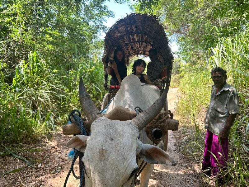 3 Days Cultural Triangle Tour - An In-Depth Look at the 3-Day Itinerary