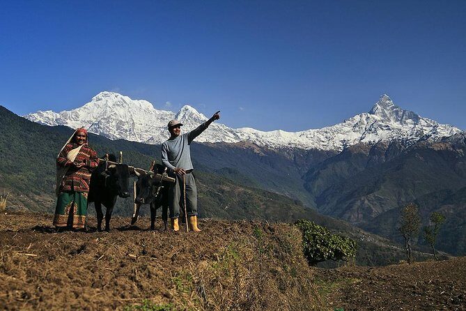 3 days Dhampus Sarangkot Short Hike - The Sum Up