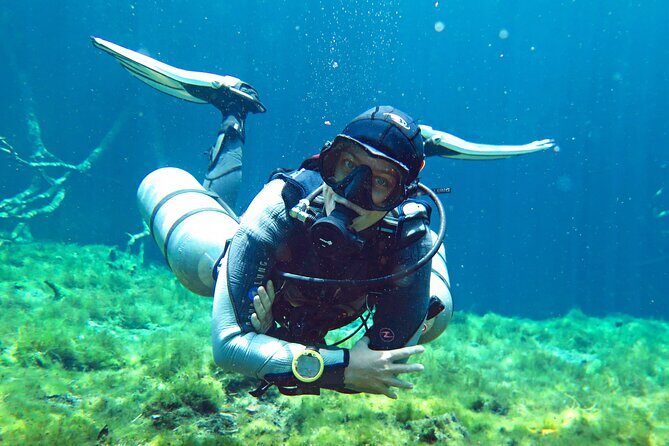 3 days diving in cenotes for certified divers - Pricing and Value for Money