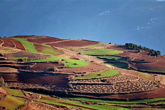 3-Days Dongchuan Red Land and Stone Forest Private Tour from Kunming - FAQ