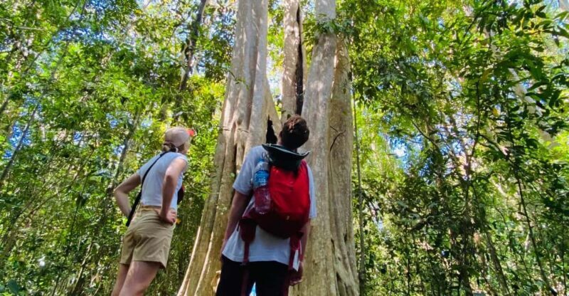 3 days Exploring Cat Tien national park from Dalat - A Practical Breakdown of the 3-Day Itinerary