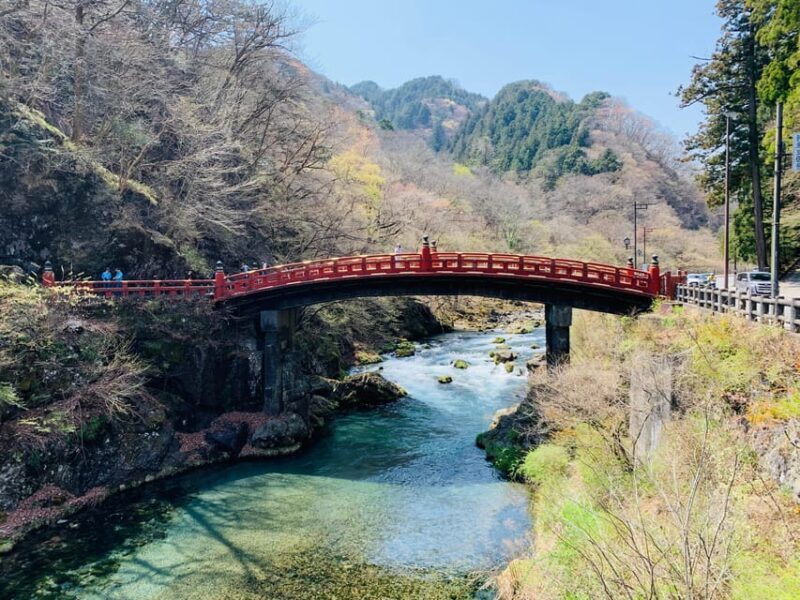 3 days fantastic attractions tour Tokyo+Nikko+Mt.FUJI Ect - Authentic Experiences and Traveler Perspectives