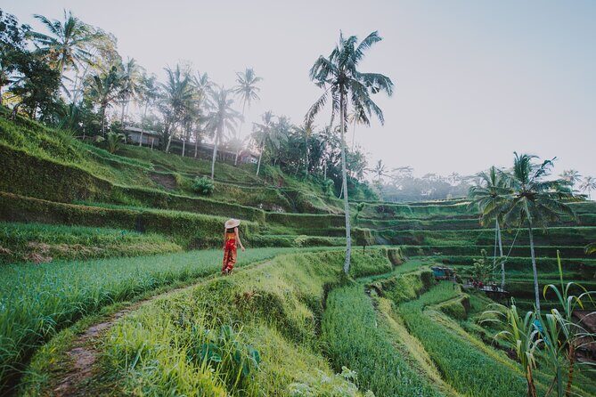 3 Days for the best of Ubud Private Tour - An In-Depth Look at the Itinerary