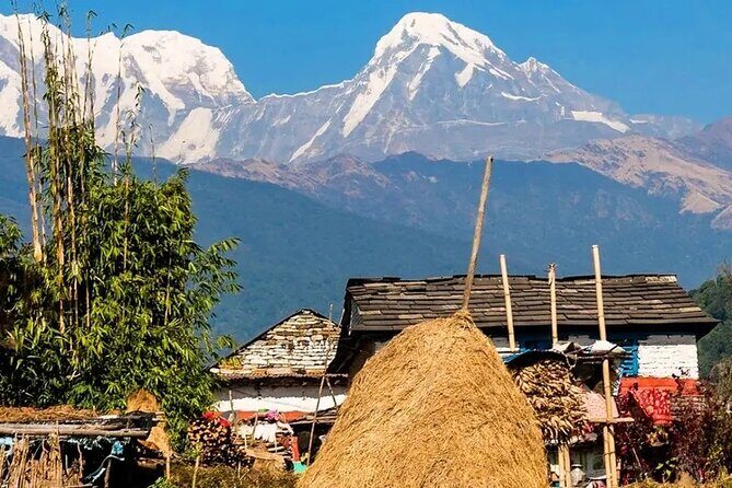 3 Days Ghorepani and Poonhill Private Trek from Pokhara - Key Points