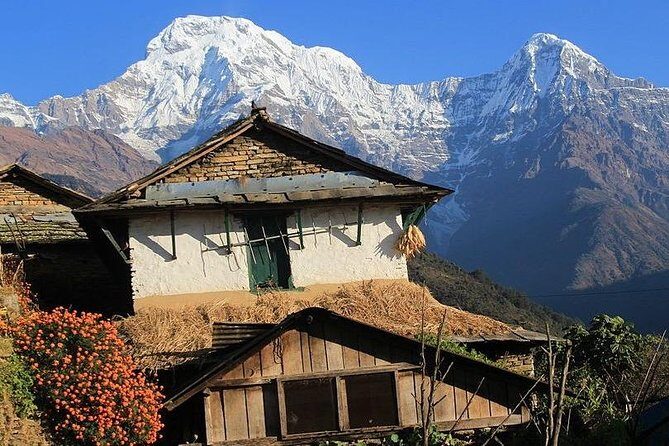 3 Days Ghorepani Poonhill Trek from Pokhara - Transportation and Logistics
