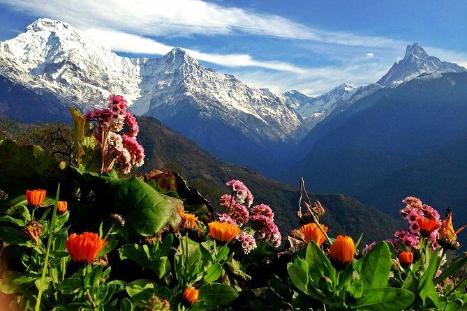 3 Days Ghorepani Poonhill Trek from Pokhara - Authentic Mountain Life and Cultural Encounters