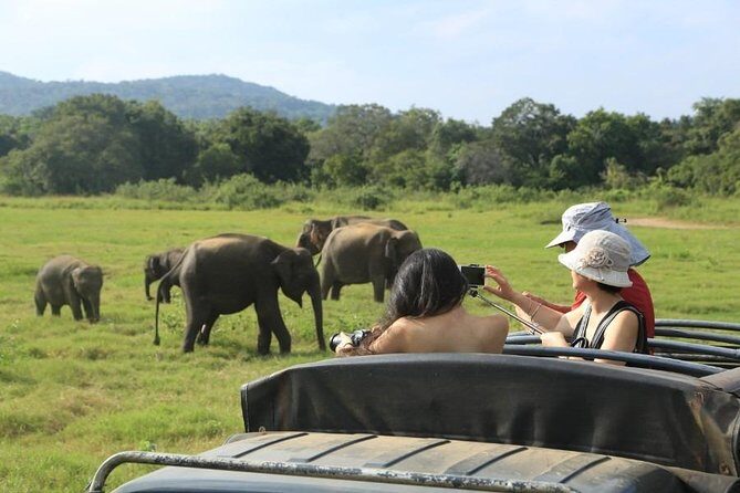 3 Days Glimpse of Sri Lanka - An In-Depth Look at the 3-Day Itinerary