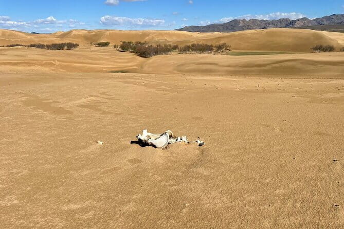 3 Days Guided Tour in Central Mongolia from Ulaanbaatar - Key Points