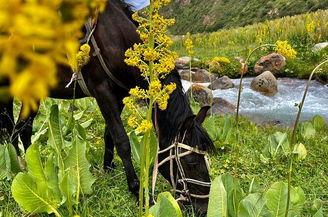 3 Days Horseback Riding to Song Kol Lake from Kyzart Village - Who Should Consider This Tour?