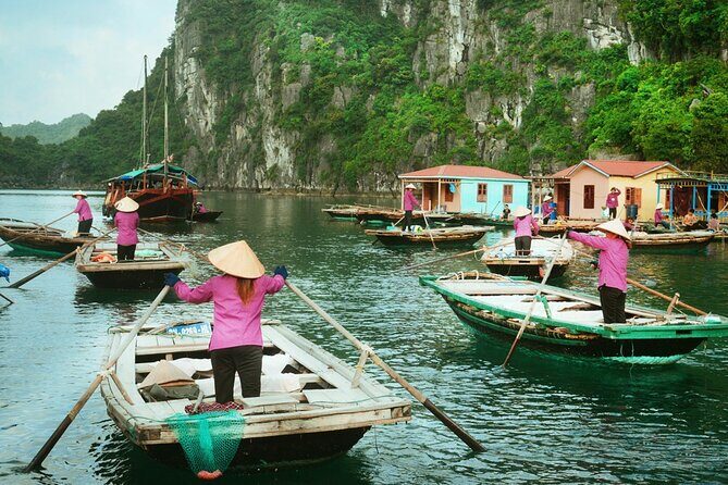 3 Days in Bai Tu Long Bay Indulge in Serenity and Elegance - Final Thoughts: Is This Tour Right for You?