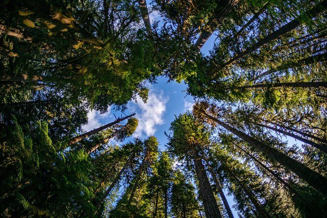 3 Days in Olympic National Park from Seattle: Silent Forest - Hoh Rainforest - FAQ