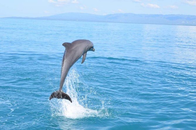 3-days Jamaica Sightseeing Tour of Treasure Beach and Negril departing from Kingston - An In-Depth Look at the 3-Day Jamaica Experience