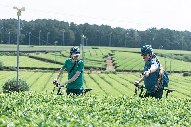 3 Days Journey through the home and history of Shochu - A Close Look at the Kumamoto Shochu and Cultural Tour