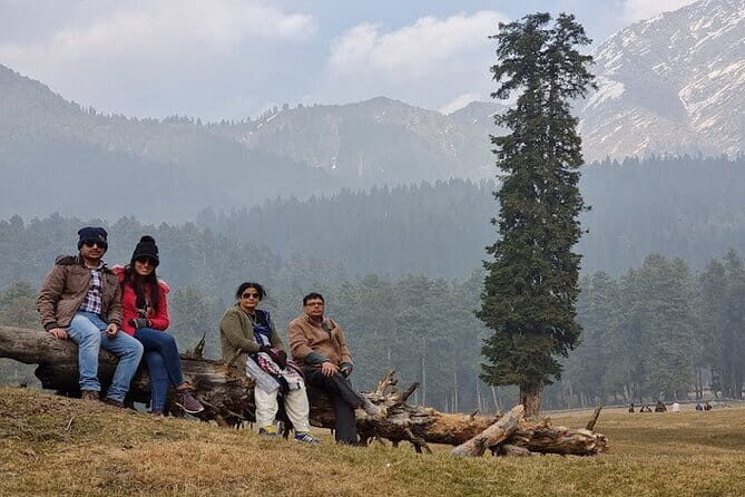 3 Days Kashmir Houseboat Tour in Srinagar - Day 3: Farewell on Dal Lake and Transfer